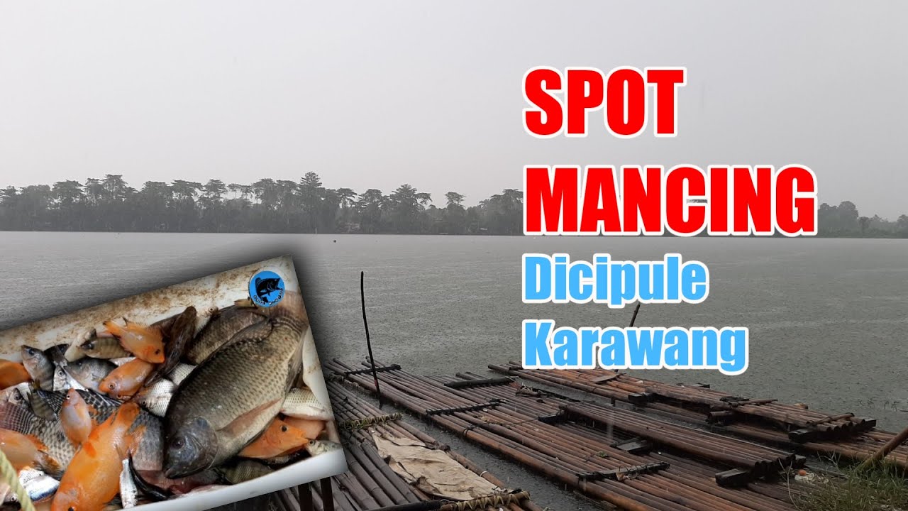 SPOT MANCING DI DANAU CIPULE KARAWANG - YouTube