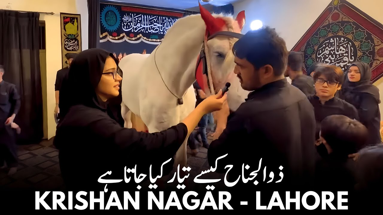Zuljanah Kese Tayar Kia Jata Hai Krishan Nagar Part 2 Azadari zuljanah-kese-tayar-kia-jata-hai-krishan-nagar-part-2-azadari