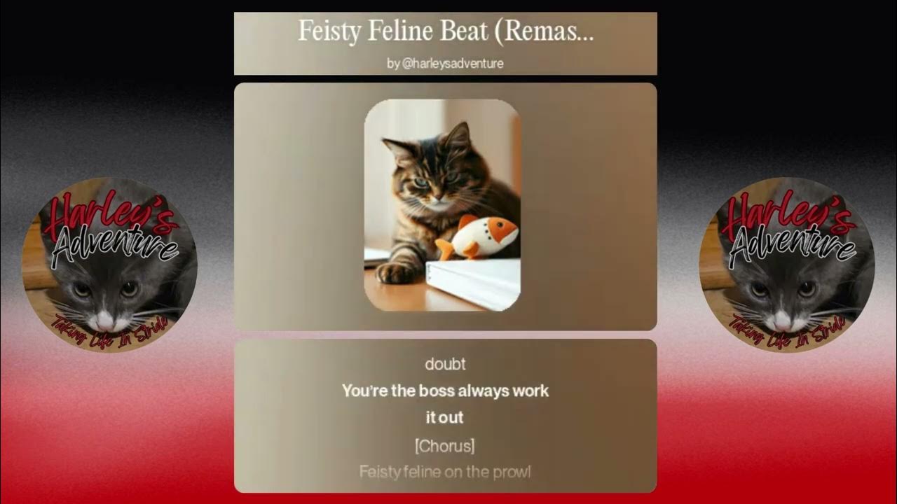Feisty Feline Music Lyrics - YouTube