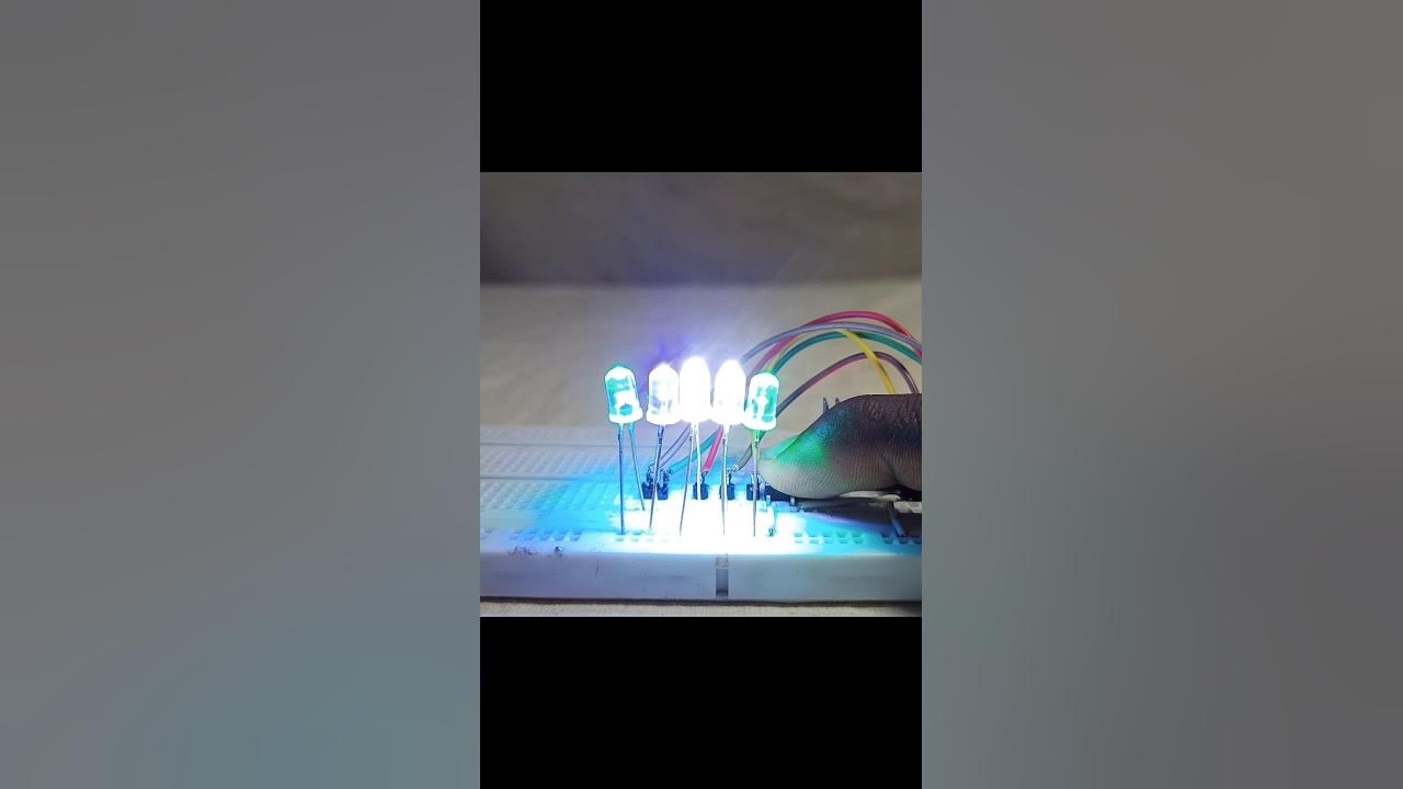 LED's control using switch case function || arduino project || Push ...