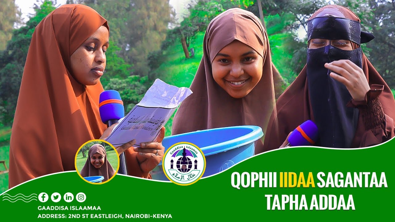 Qophii Iidaa Sagantaa Tapha Addaa - YouTube