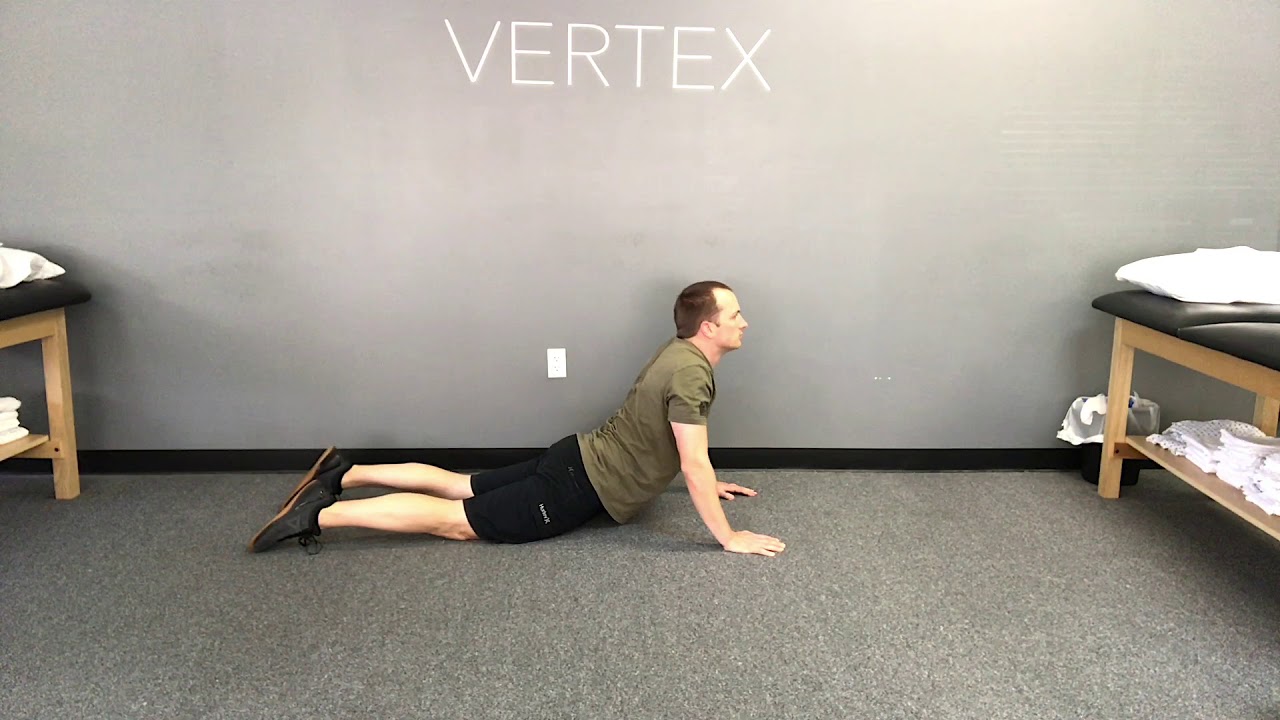 Prone Press Ups Youtube | Prone Press-Up【Explanation】‖ Performance ...