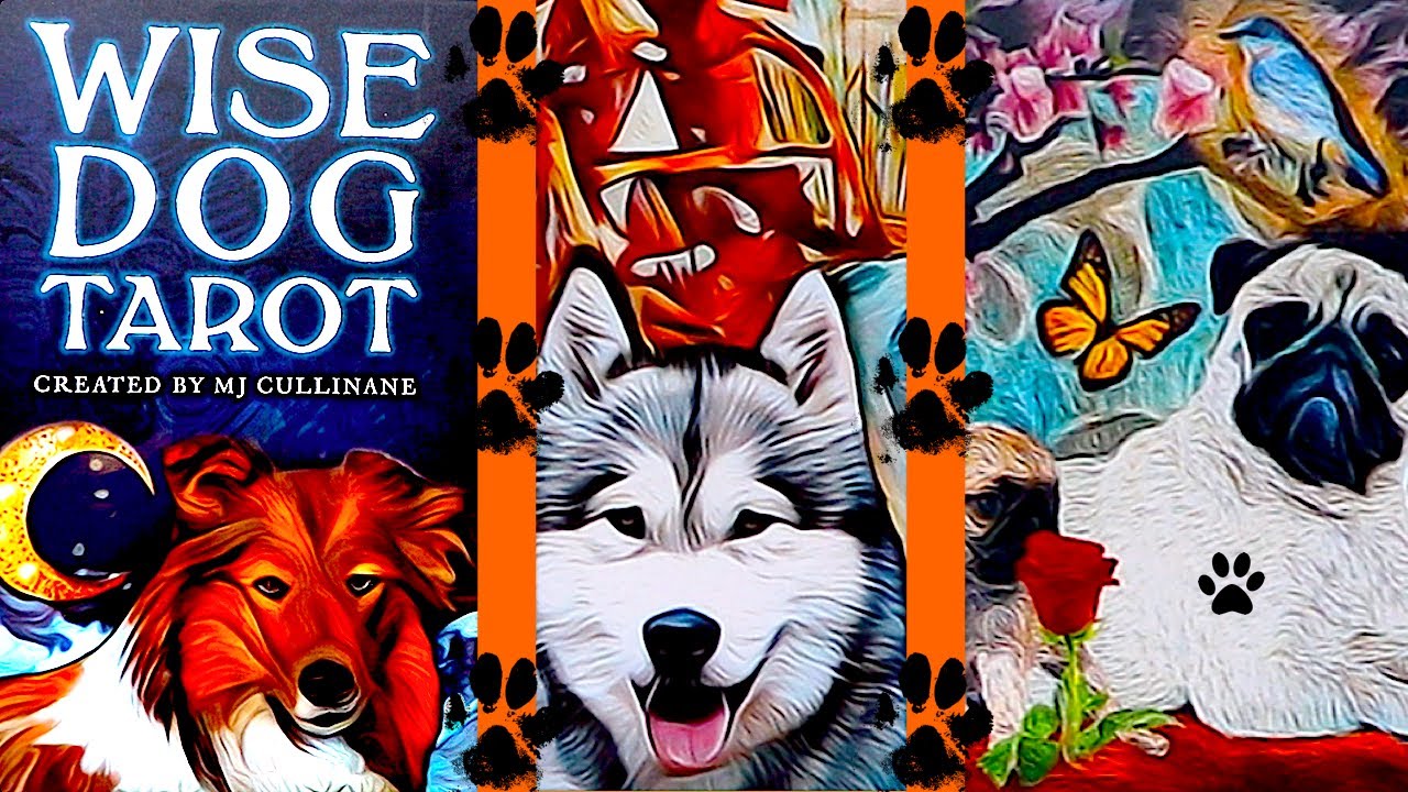 Wise Dog Tarot | Review & Walkthrough - YouTube