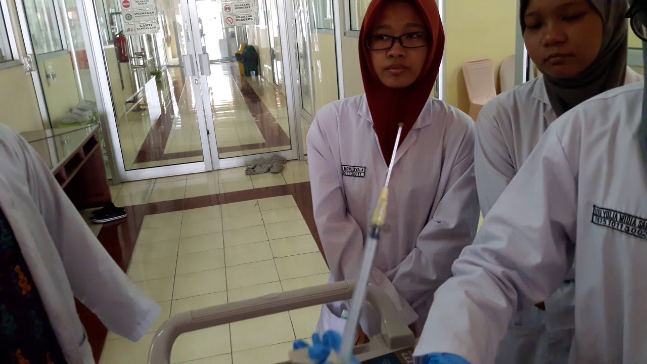 cara menyonde tikus mini/ mencit atau memasukkan cairan per oral ...