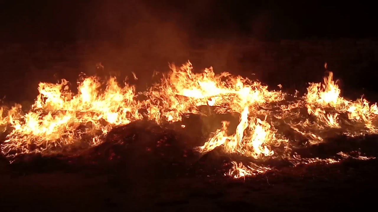Crop fire- Beautiful Fire Video at night - YouTube