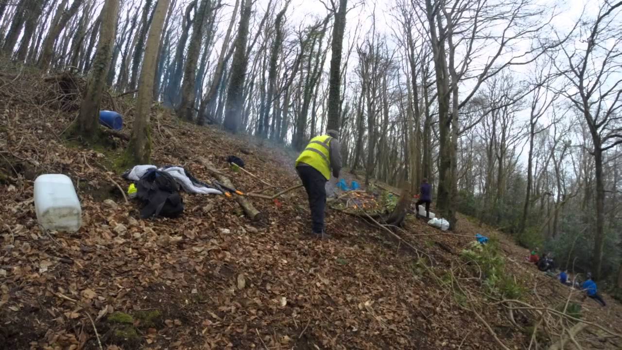 ACV Cwm Woods - YouTube