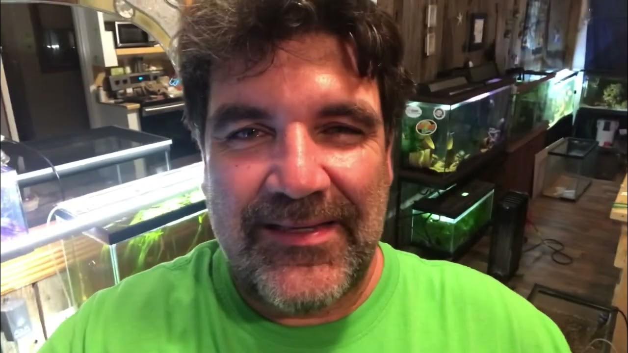 “prolapsed cloaca” on our ball python - YouTube