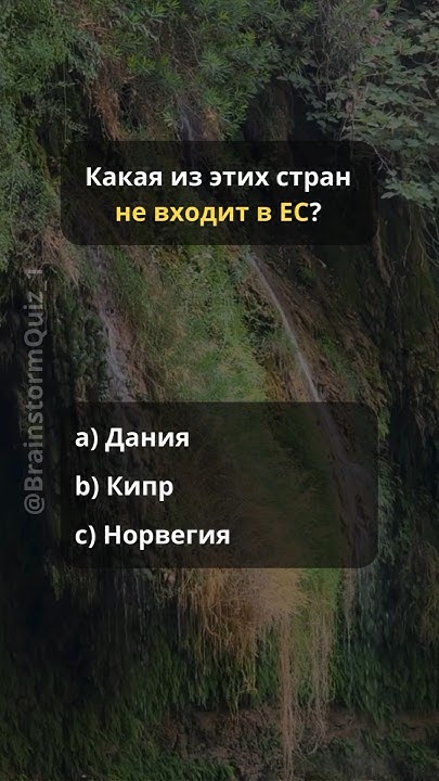 Эрудит-викторина: Сможешь набрать 100%? 🧐 #quiz #интересно - YouTube