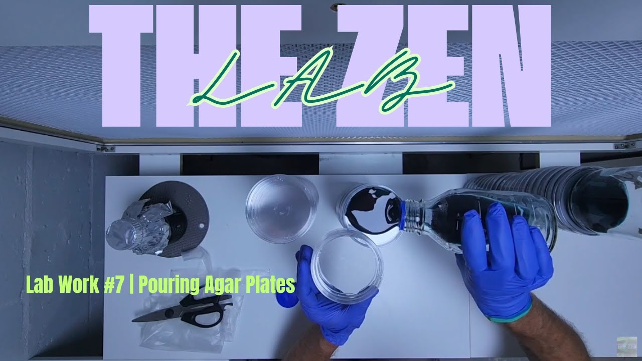 Lab Work #7 | Pouring Agar Plates - YouTube