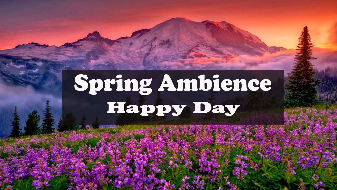 Begin Your Day with the Positive Energy of Healing Spring Sounds and ...