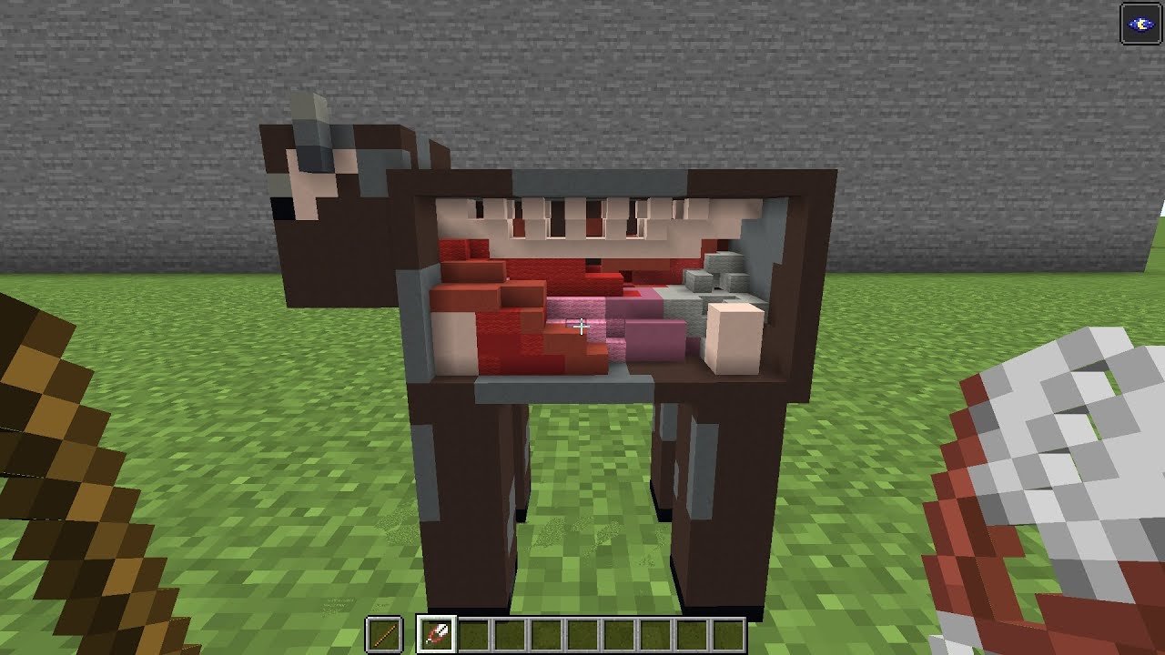 what's inside a cow? - YouTube