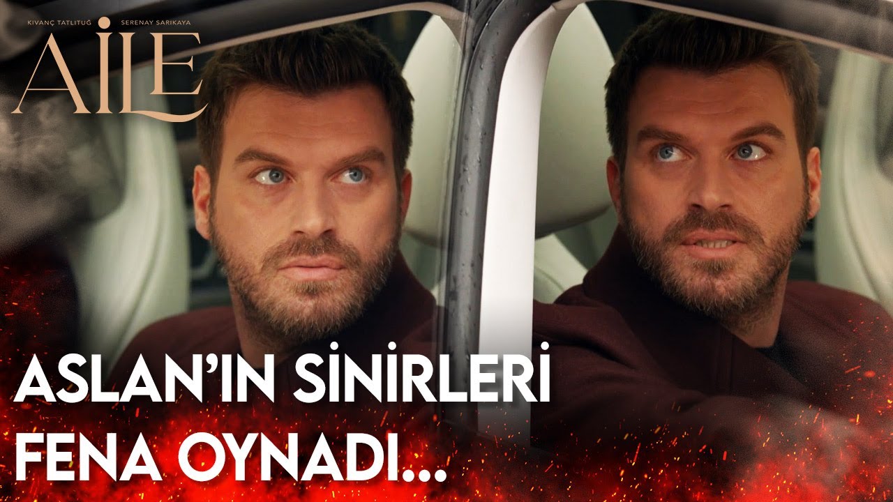 Aile | Aslan'ın Sinirleri Fena Oynadı...😤😤 - YouTube