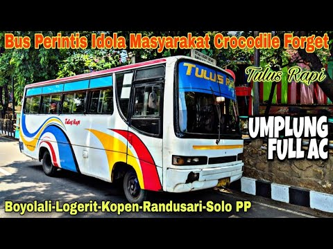 Bus Perintis Idola Masyarakat Crocodile Forget Umplung Full AC | trip ...