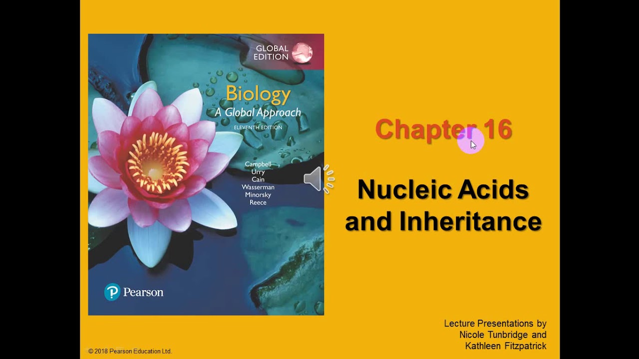 Biology : CH 16 { part 1 } - YouTube