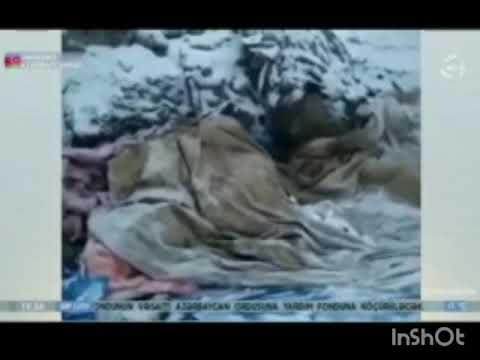 Bura Lacindir Qardasim Elyarin Cekdiyi Kadr Zaurun Verlisinde Gösteriler