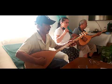 Leyla Yazımı kışa çevirdin Gülay