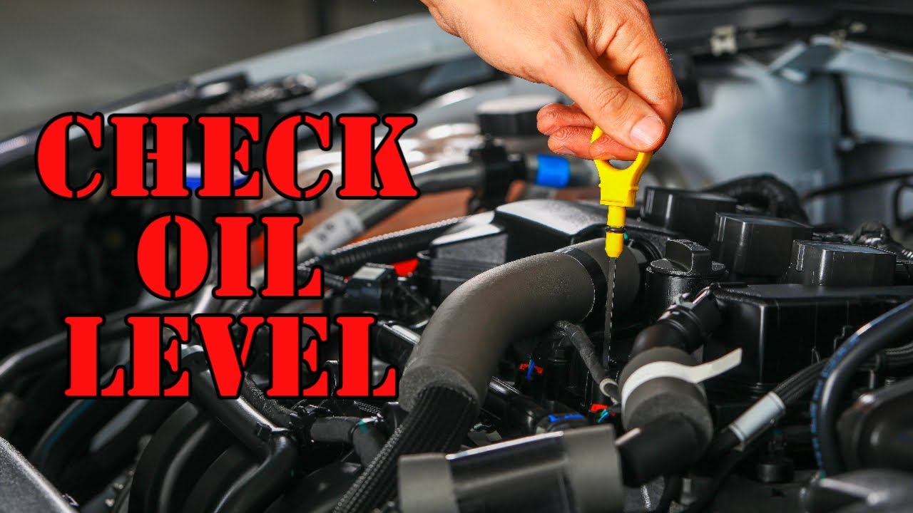 How To Check Oil Level Any Vehicle Easy Simple - YouTube