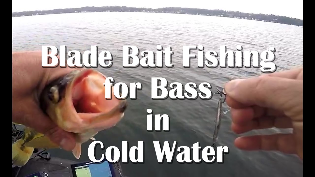 BLADE BAIT Fishing for Bass in Cold Water - YouTube
