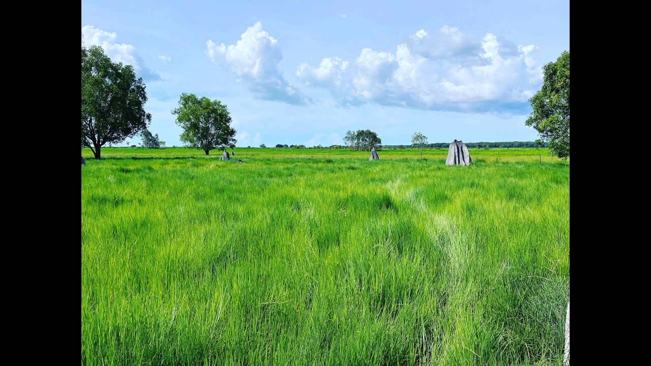 Woolner Station Via Darwin For Sale - YouTube