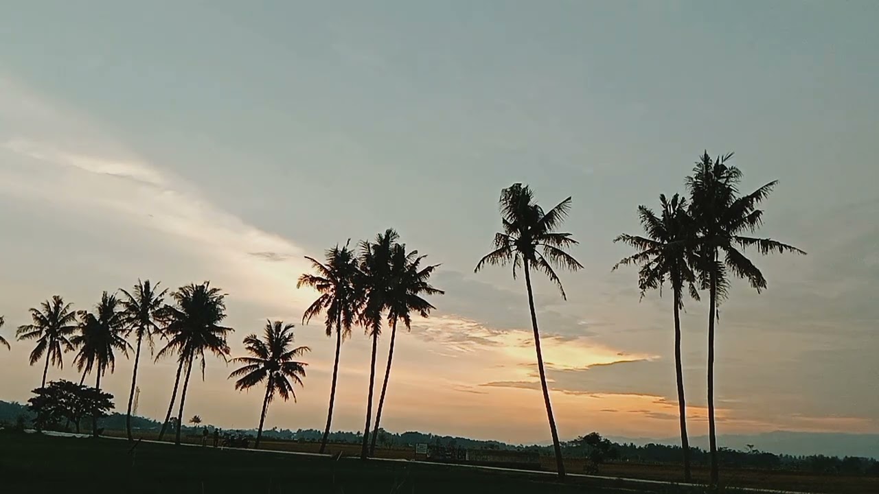 Timelapse video Vivo y20