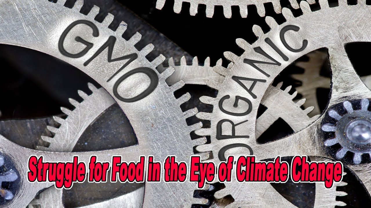 Unravelling GMOS: Three Pillars of Skepticism - with Author Sheldon ...