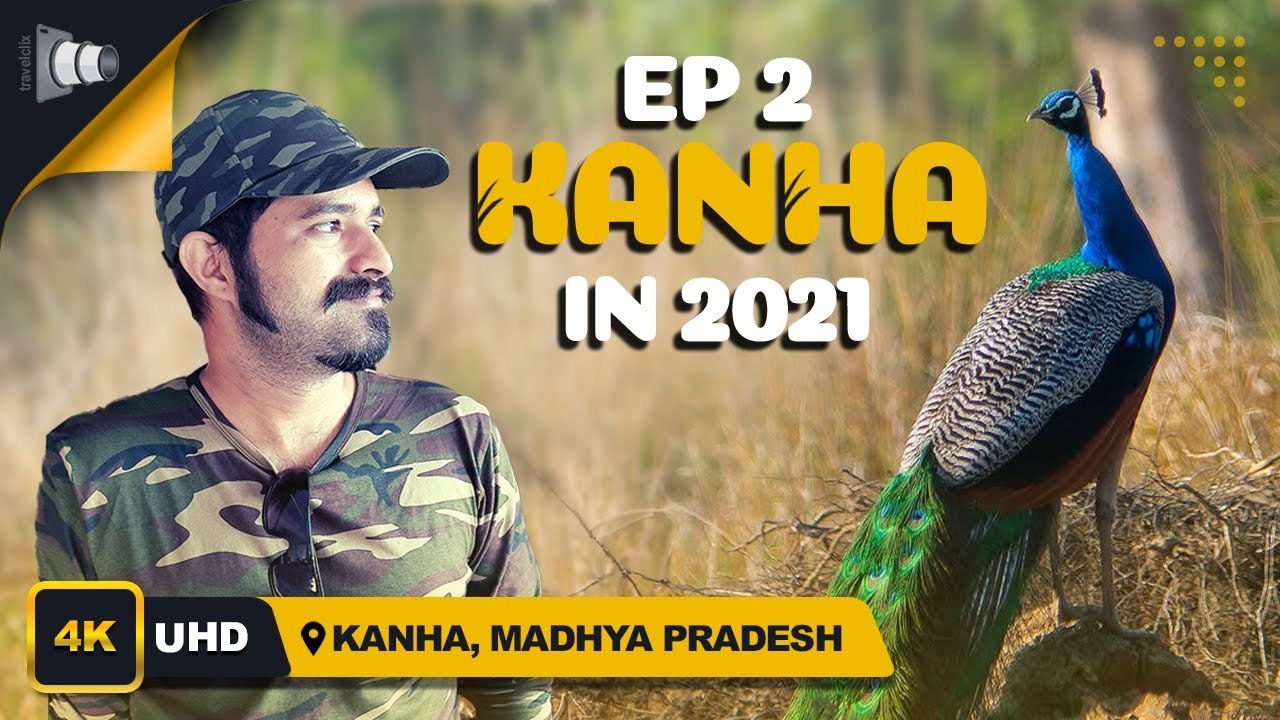 Kanha National Park Ep 2 | कान्हा राष्ट्रीय उद्यान - भाग २ | Khatia ...