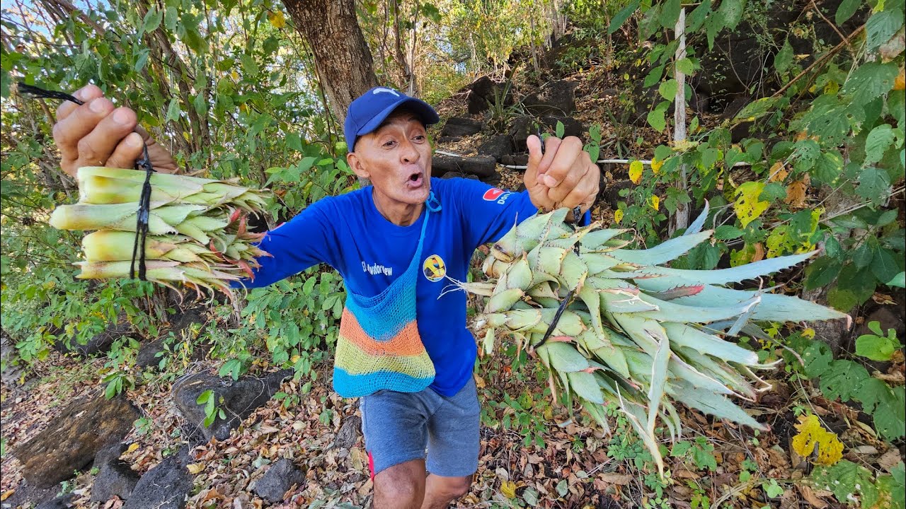 sacando piñicos en el salvador - YouTube