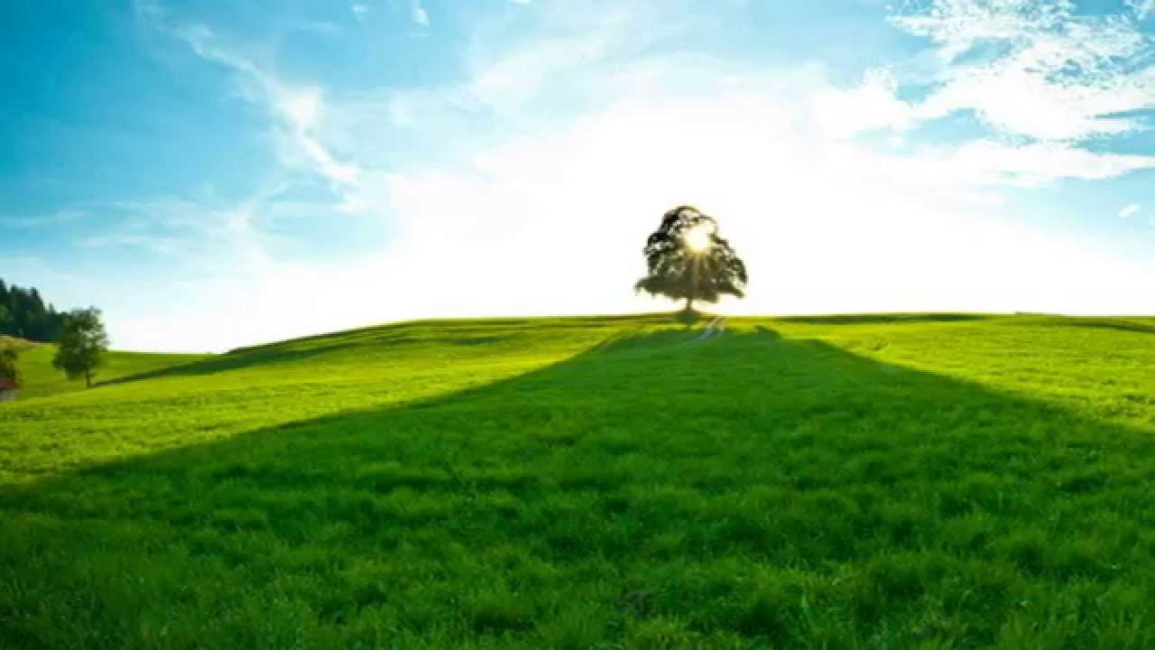 Kinga Práda plays Sagvik: "Rustrans" with Trio Transrus - YouTube