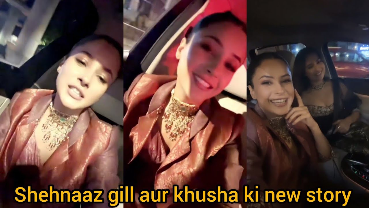 Shehnaaz gill aur khusha ki new insta story #sidnaaz - YouTube