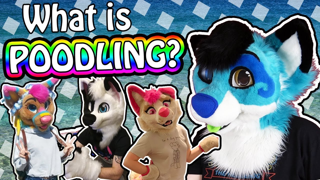 What is FURSUIT POODLING? 🤔 - YouTube