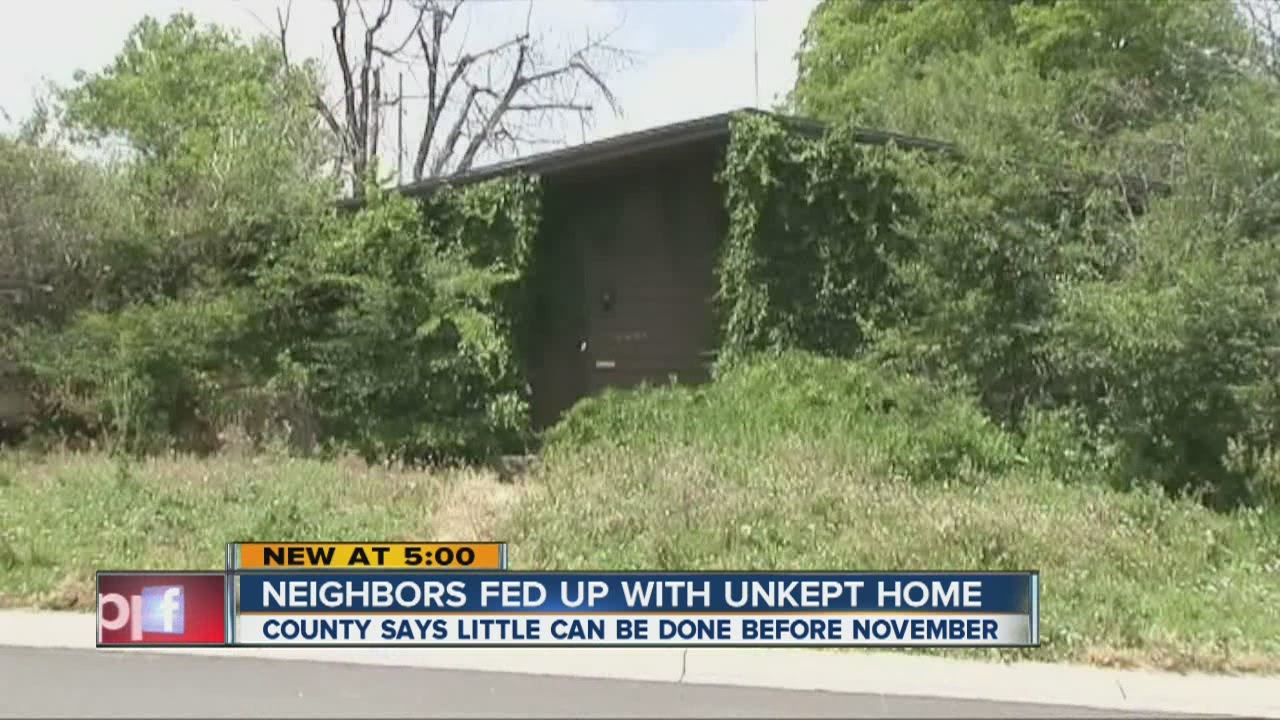 Neighbors fed up with abandoned home - YouTube