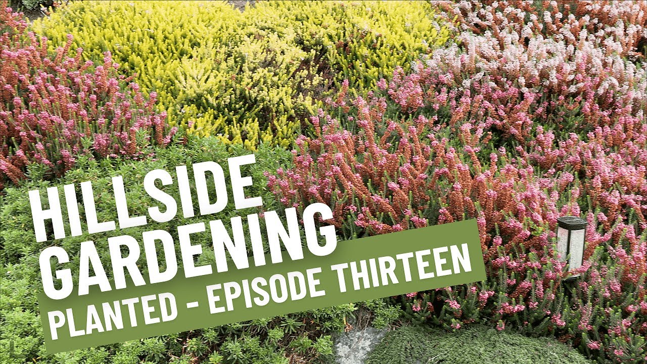 PLANTED shorts, Episode 13: Hillside Gardening - YouTube