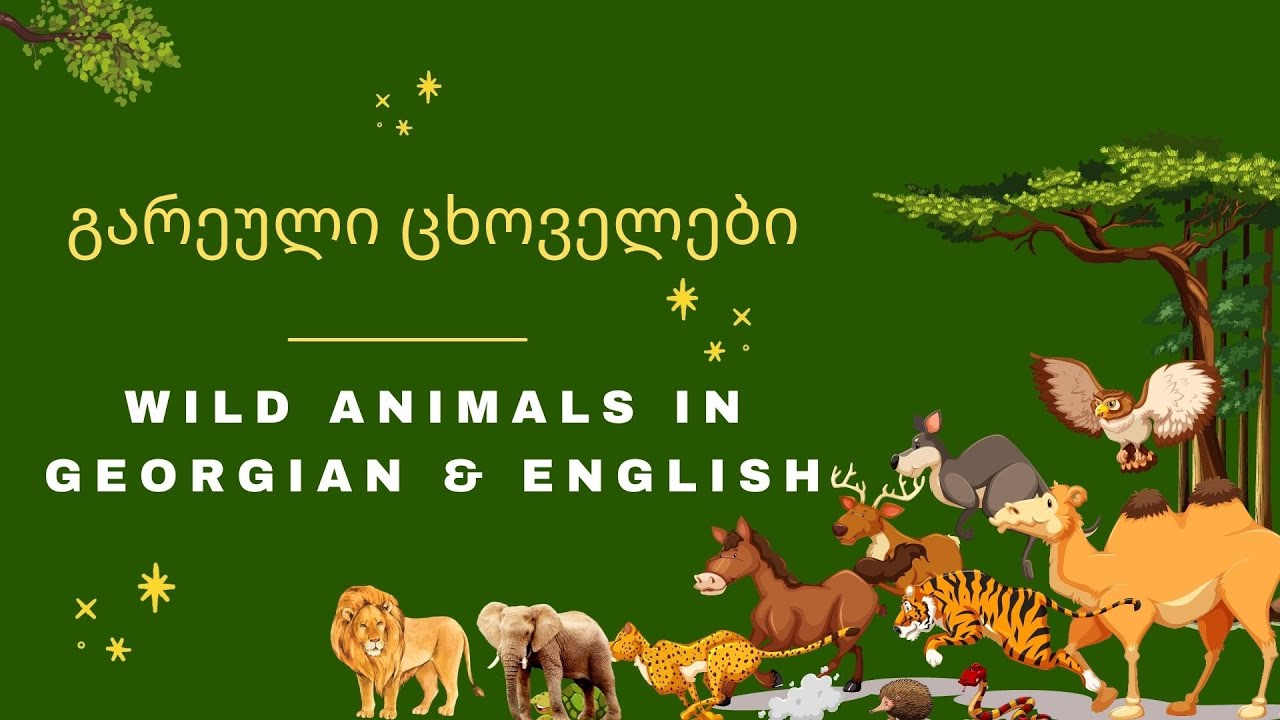 გარეული ცხოველები - Wild Animals in Georgian & English - YouTube
