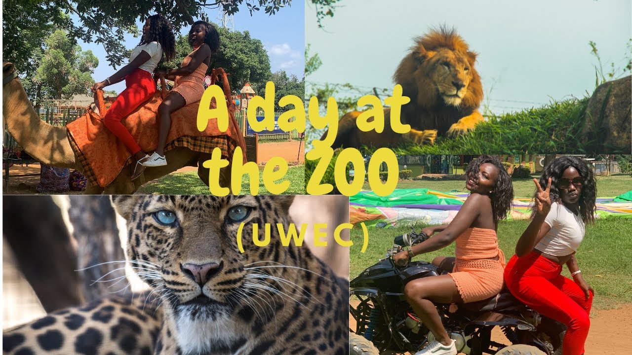 EXPLORING UGANDA WILDLIFE AT ENTEBBE ZOO(UWEC) VLOG + QUAD BIKING ...