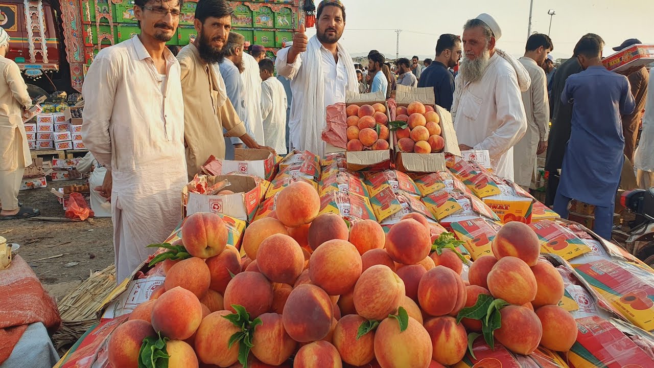 Swat Best quality peach | Waziristan plums and Apple | Afghanistan ...