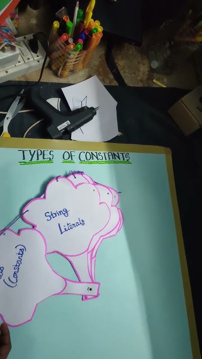 TLM for B.ed Types of constant Computer science chart model - YouTube