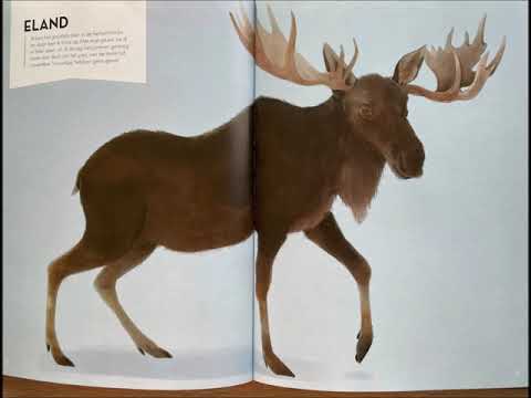 De eland - YouTube