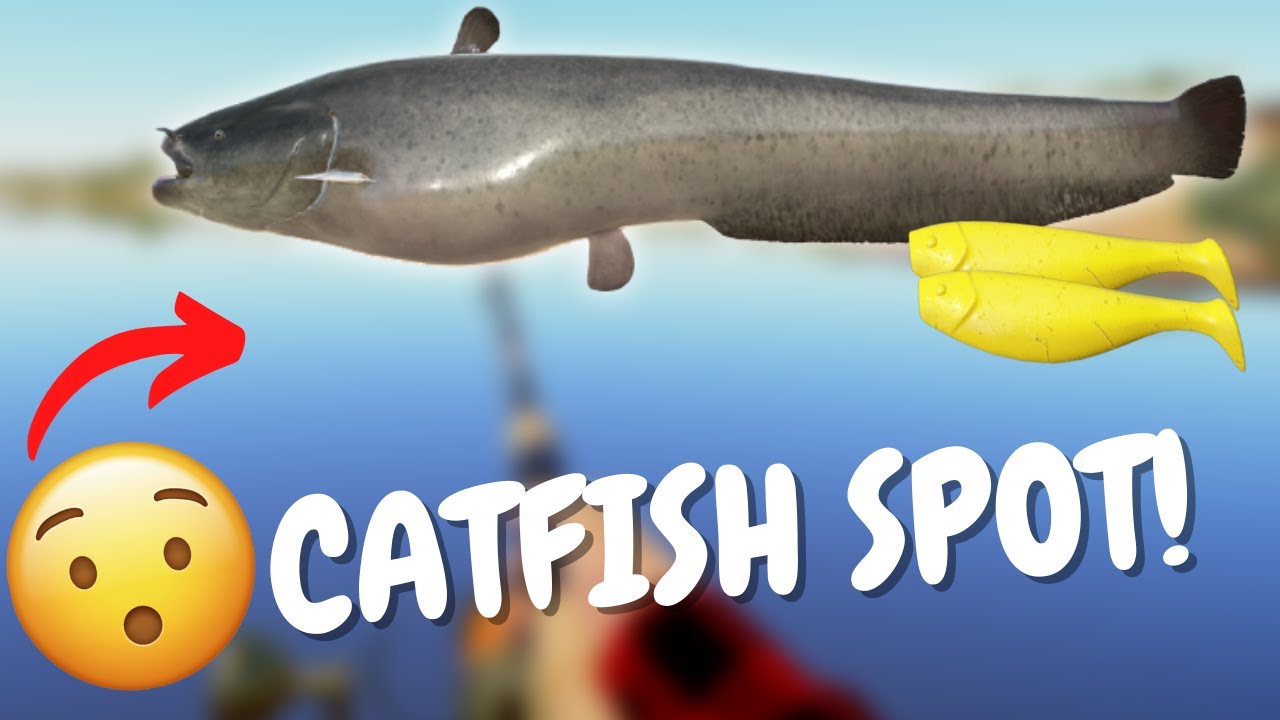 Catfish spot at akhtuba river! #237 Russian fishing 4 - YouTube