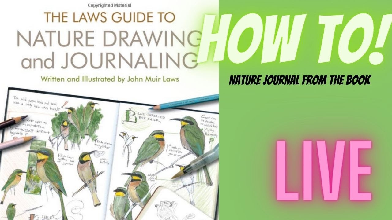 How to Nature Journal from The Book! The Laws Guide to Nature Drawing ...