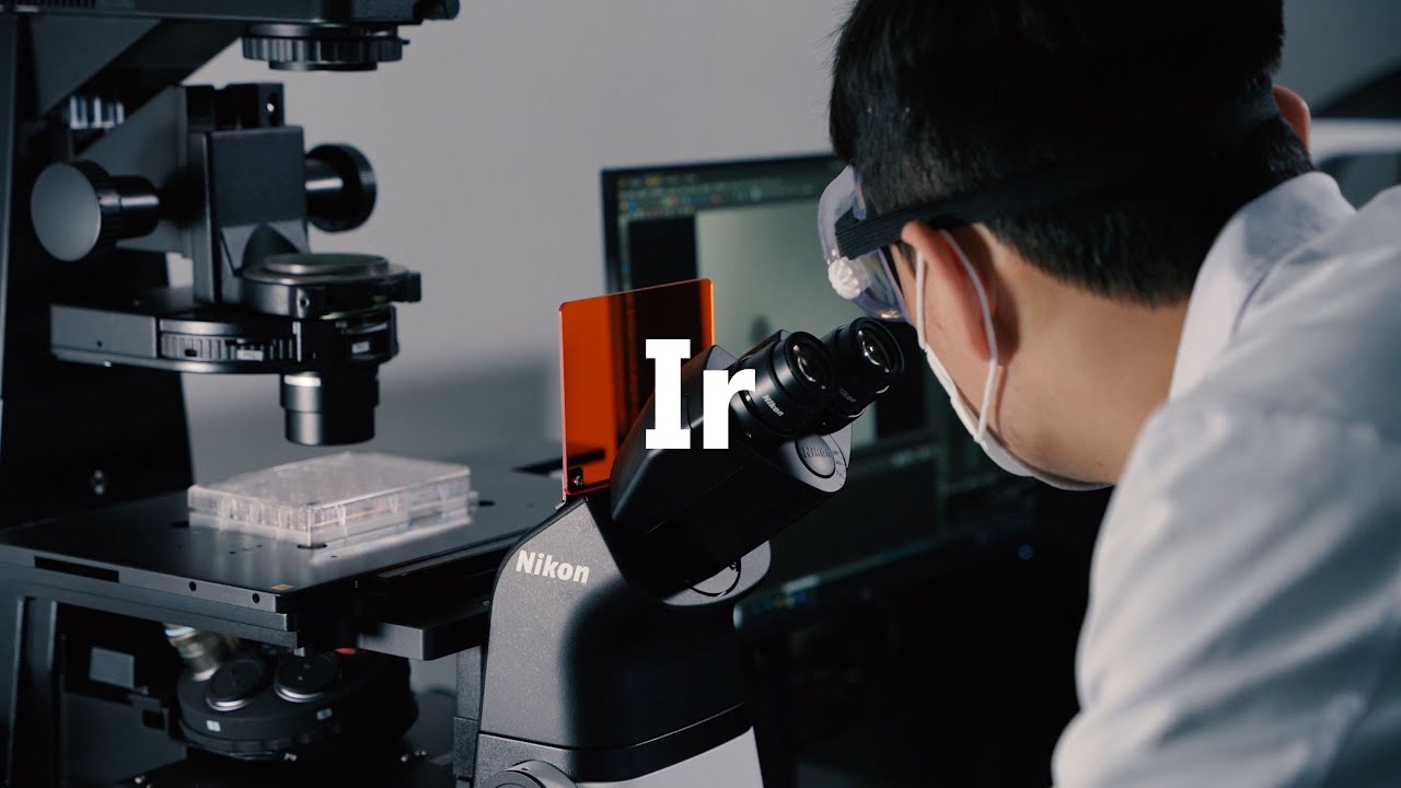 IRIS Lab (아이리스랩) - YouTube
