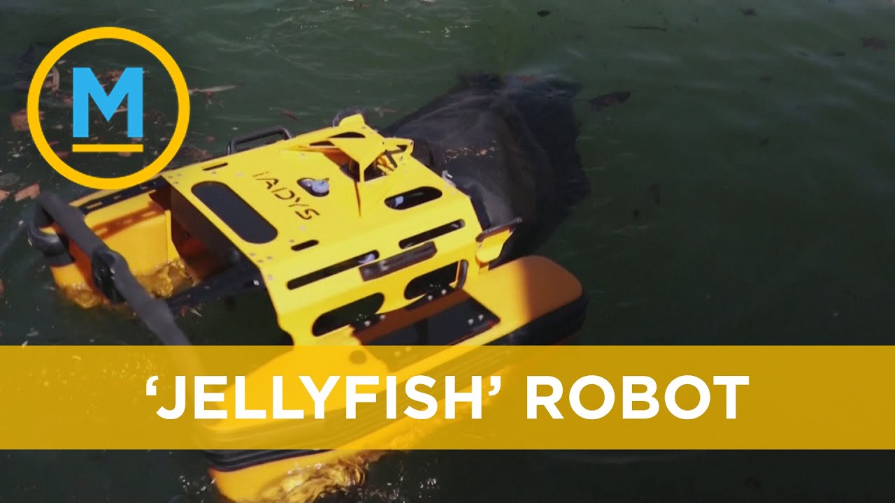 'Jellyfish' robot is like a Roomba for the sea | Your Morning - YouTube