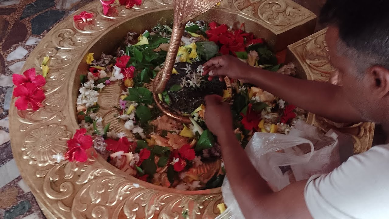 Daily Blog 7 Feb 2025| Shiv Mandir | Jangli baba Mandir - YouTube