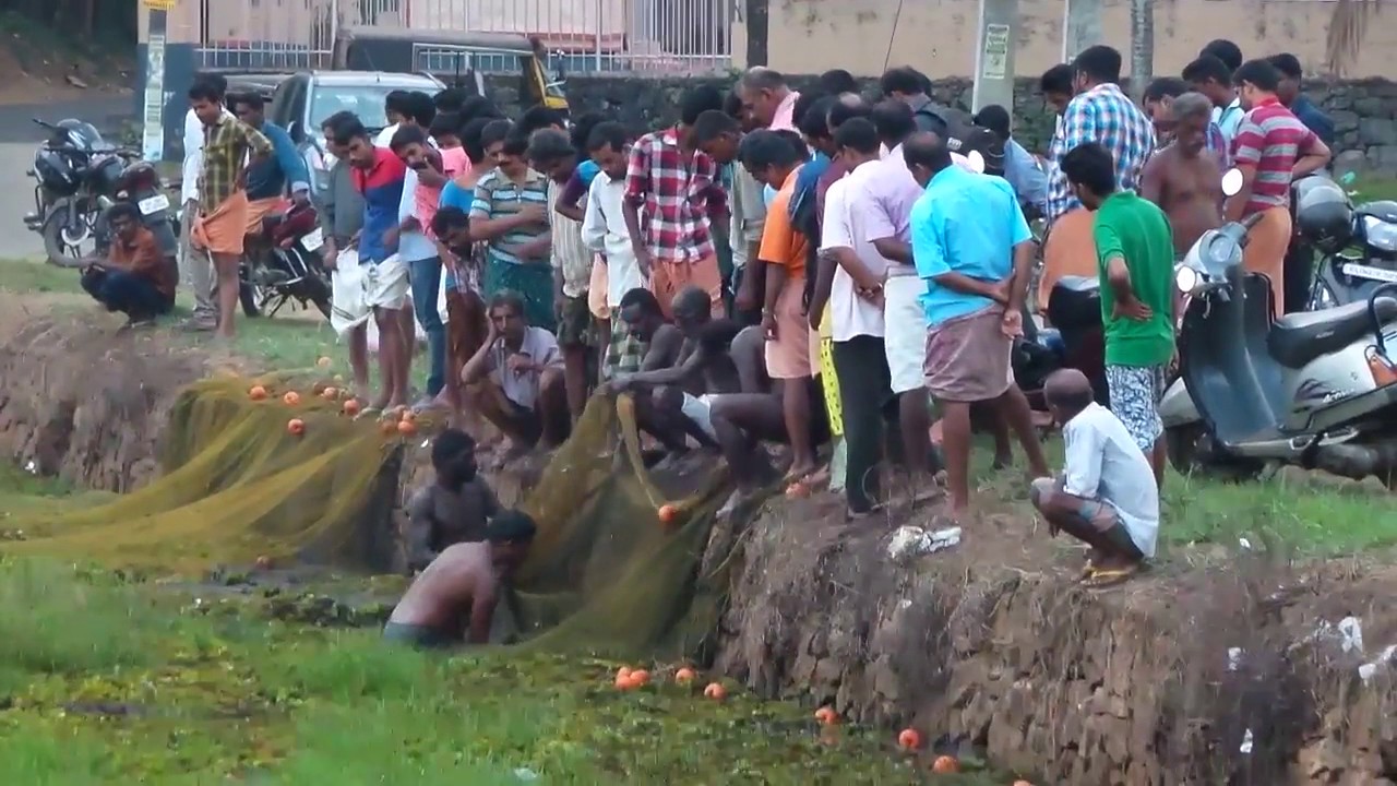 Omalloor uppaman chalile Fishing Kerala Natural Fishing Giant snake ...