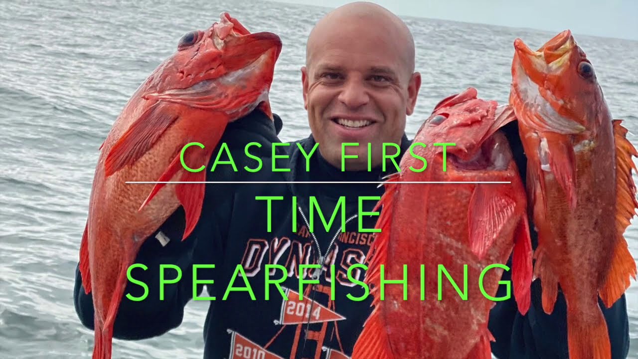 DIVING BIG SUR - YouTube