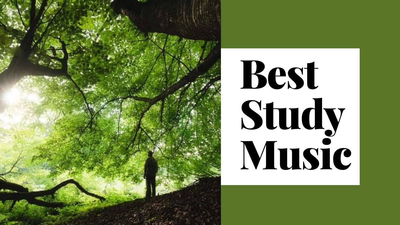 Best Study Music • Study Music • Relaxing Music • Meditation Music ...