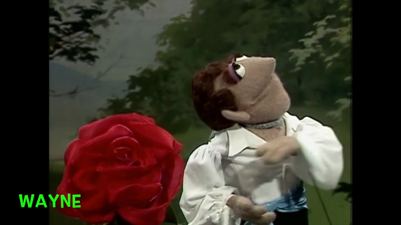 Muppet Songs: Wayne - Wild Irish Rose - YouTube