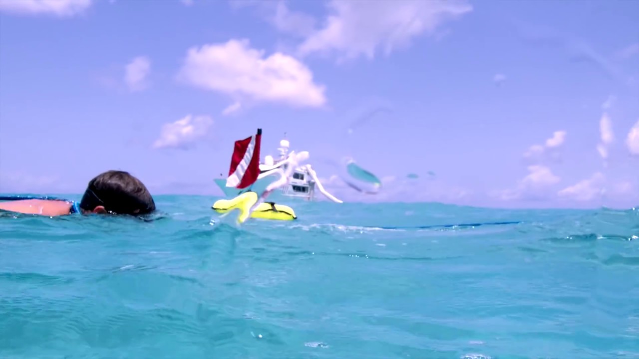 Where will you go with NEMO? 🐠Ultra-portable dive system - YouTube