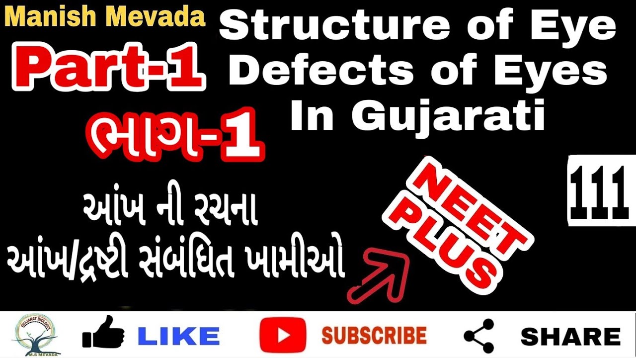 Structure of Eye| Defects of Eyes| In Gujarati |Part-1|આંખ ની રચના |આંખ ...