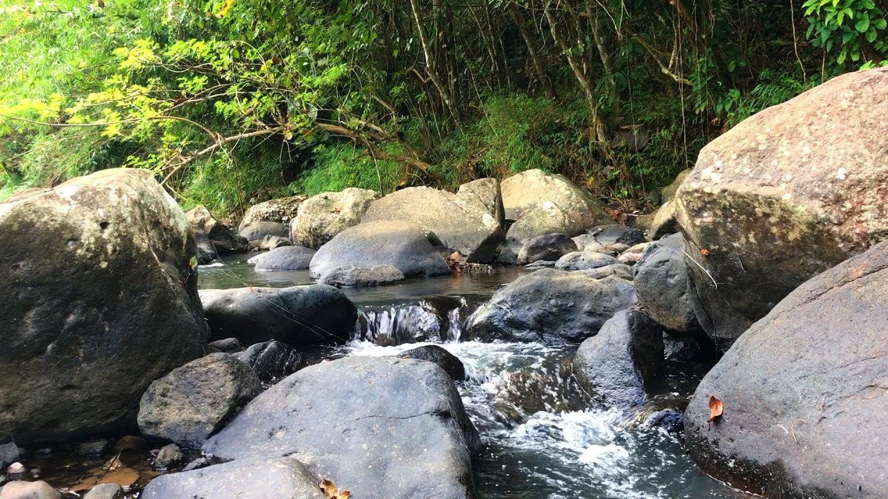 Waterfall Gentle Stream Sound in forest 24/7. Waterfall Sounds, Flowing ...