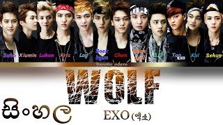 Exo Chen 2022 Wolf